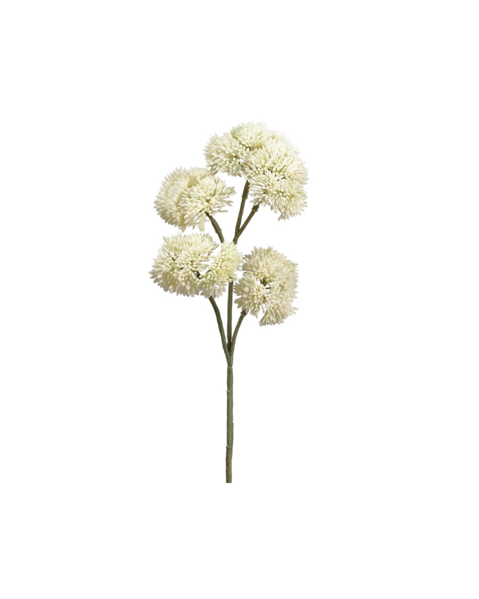 Cream Sedum Pick – Thacher & Spring